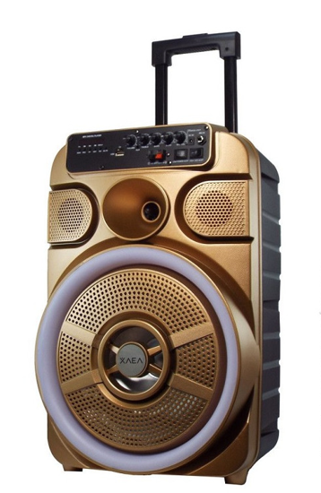 Ilusiones. Parlante 12" 2400W Xaea CSN-2166